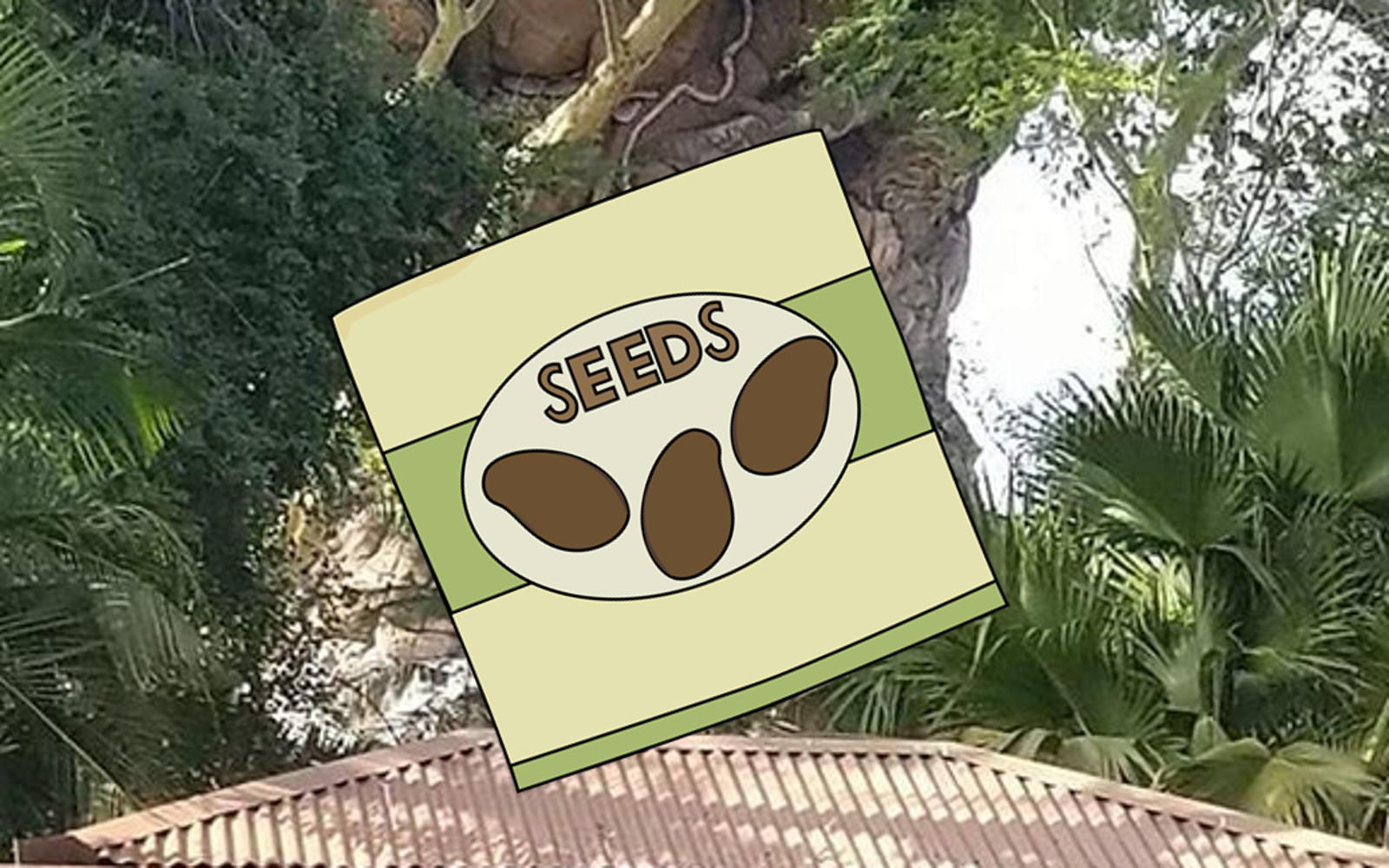 Disney Store to offer Tree of Life seeds - Uncle Walt's Insider
